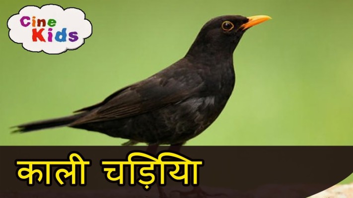 Chidiya Tapu - Tree - 1800x600 Wallpaper - teahub.io