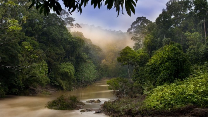 Malaysia Nature - 1920x1080 Wallpaper - teahub.io