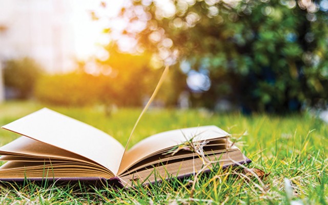 Summer Book - 1680x1050 Wallpaper - teahub.io