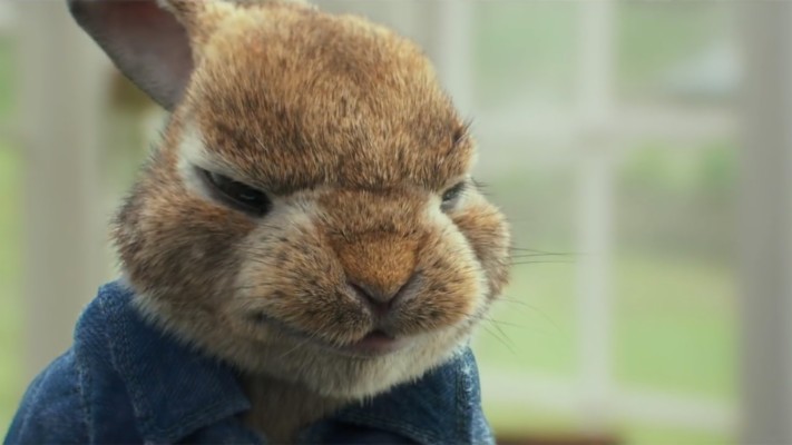 Great Peter Rabbit - Peter Rabbit - 1344x756 Wallpaper - teahub.io