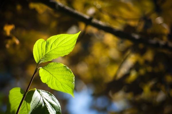 Saat Samundar Paar Hd - 1280x720 Wallpaper - teahub.io