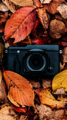 Wallpaper Camera, Foliage, Autumn, Leaves - Autumn Leaves - 938x1668 ...