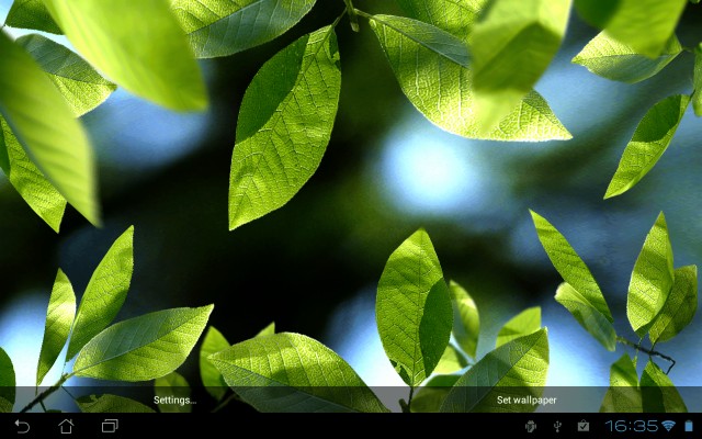 Fresh Leaves Живые Обои - Leaf Background Live - 1280x800 Wallpaper ...
