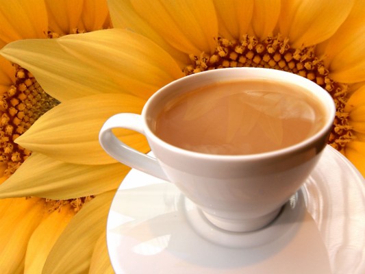 Tea And Sunflowers - Tea Cup With Tea - 1024x768 Wallpaper - teahub.io