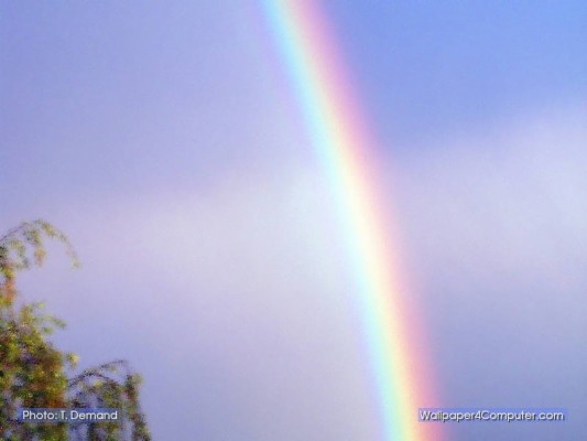 Real Rainbow Wallpaper Hd - 1920x1080 Wallpaper - teahub.io