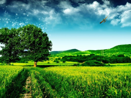 Natural Profile Picture Hd - 1920x1440 Wallpaper - teahub.io