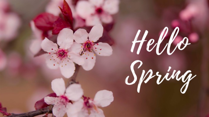 Hello Spring Wallpaper Hd - 2160x1377 Wallpaper - teahub.io