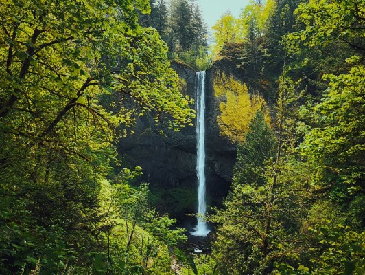 United States, Corbett, Latourell Falls Trail, Oregon, - 910x683 ...