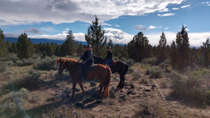 Competitive Trail Riding - 1600x900 Wallpaper - teahub.io