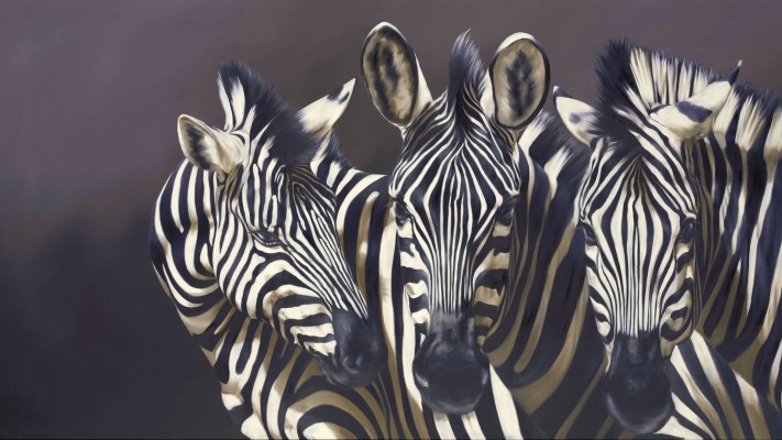 Zebra Art Wallpapers Hd - 1920x1080 Wallpaper - teahub.io