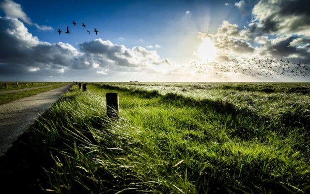 Good Morning Beautiful Scenery Background Wallpaper - Scenery Good ...
