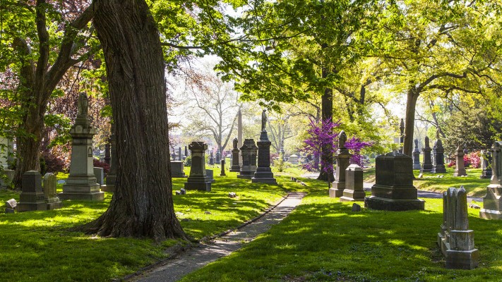 Cemetery Background Hd - 1080x1920 Wallpaper - teahub.io