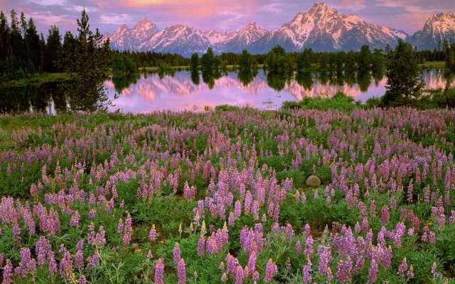 Grand Teton National Park, Lake, Mountain, Reflection, - Grand Teton ...
