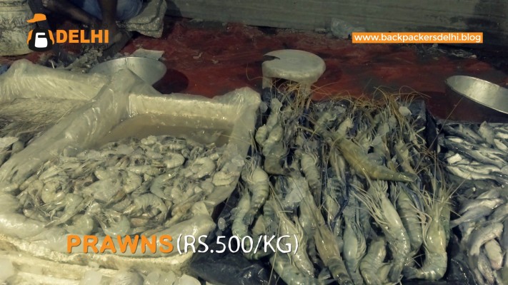 Razzaque - Salted Fish - 1920x1080 Wallpaper - teahub.io