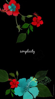 Iphone Simplicity Wallpaper Hd - 577x1024 Wallpaper - teahub.io