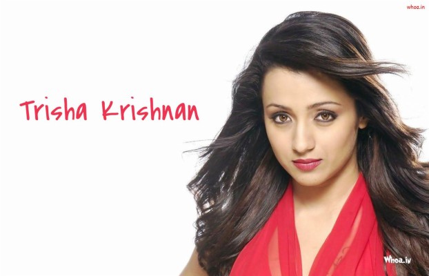 Trisha Krishnan Close Up Face High Definition Wallpaper - Actor Trisha ...