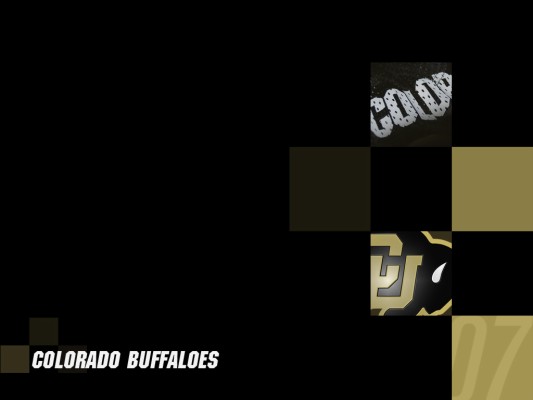 Colorado Buffaloes Desktop - 1024x768 Wallpaper - teahub.io