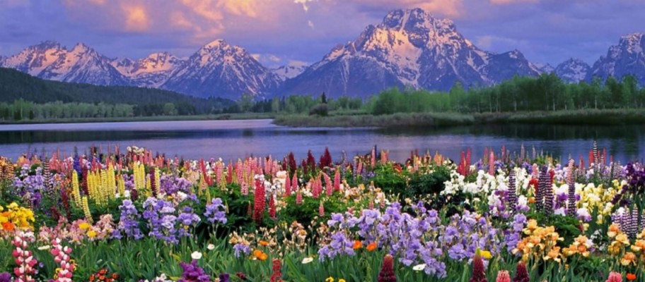 Grand Teton National Park, Mount Moran - 1920x1080 Wallpaper - teahub.io