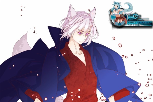 Anime, Tomoe, And Kamisama Hajimemashita Image - Anime Tomoe - 640x1136 ...