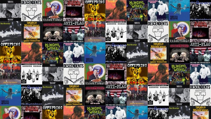 Weasels - 2560x1440 Wallpaper - teahub.io