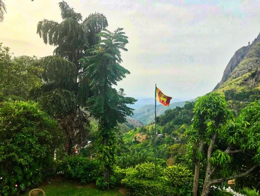 Sri Lanka, Ella, Wellawaya Ella Kumbalwela Hwy, Trees, - Tree - 910x683 ...