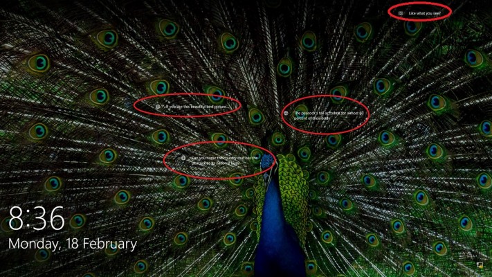 Download Cool Windows 10 Sunset - Windows 10 Lock Screen Wallpapers ...