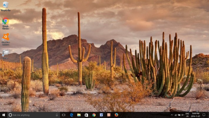 Desert Ecosystem - 1366x768 Wallpaper - teahub.io