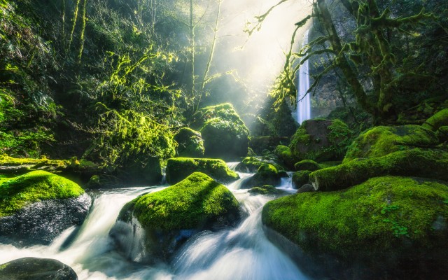 Forest With Waterfall 4k - 1680x1050 Wallpaper - teahub.io