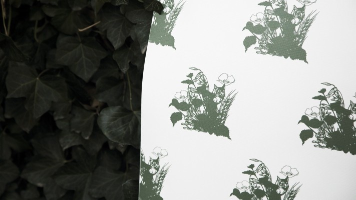 Plane-tree Family - 1125x2436 Wallpaper - teahub.io