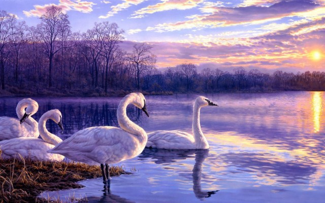 Morning Dawn - 3840x2400 Wallpaper - teahub.io