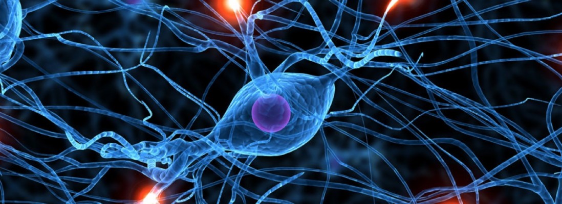 Multiple Sclerosis Gifs - 1200x437 Wallpaper - teahub.io