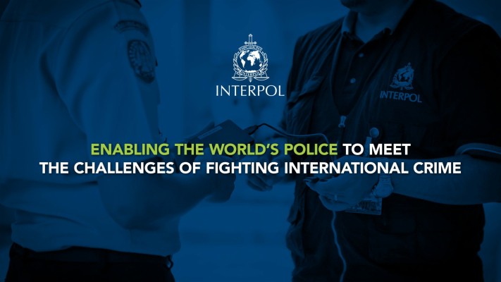 Interpol Wallpaper - 2560x1600 Wallpaper - teahub.io