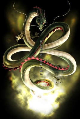 Imagenes De Shenlong - 680x1014 Wallpaper - teahub.io