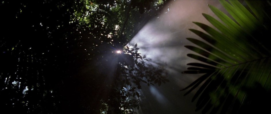 Horizontal Line In Nature - 2560x1024 Wallpaper - teahub.io