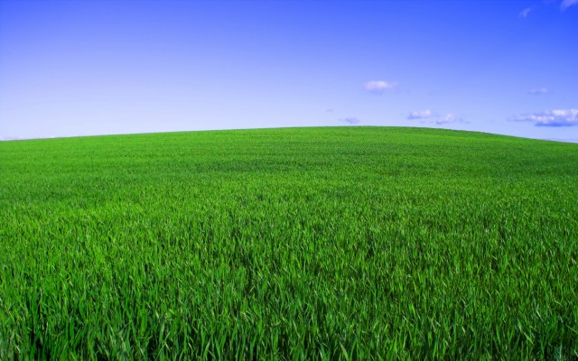 Green Field - High Resolution Hill Images Hd - 2560x1600 Wallpaper ...