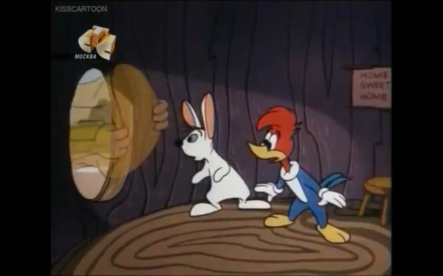 Woody Woodpecker Splinter And Knothead - 1920x1080 Wallpaper - teahub.io