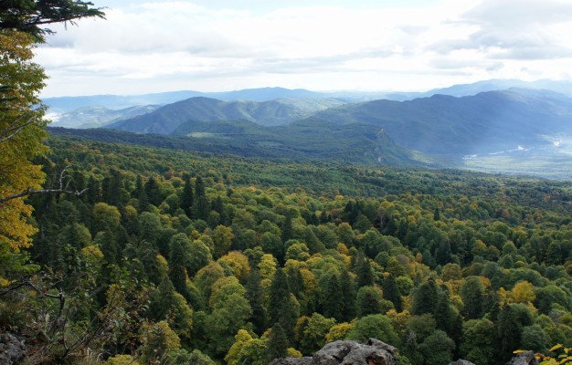 Photo Wallpaper Open, Forest, Forest, Adygea, Lago - Summit - 1332x850 ...