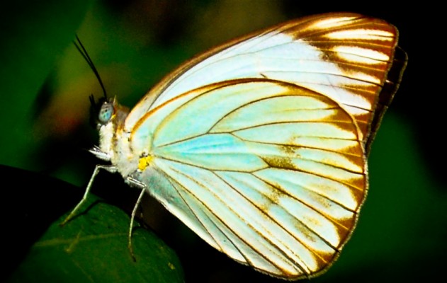 Aporia - 873x553 Wallpaper - teahub.io