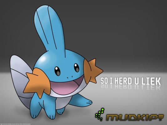 Mudkip - 1920x1080 Wallpaper - teahub.io