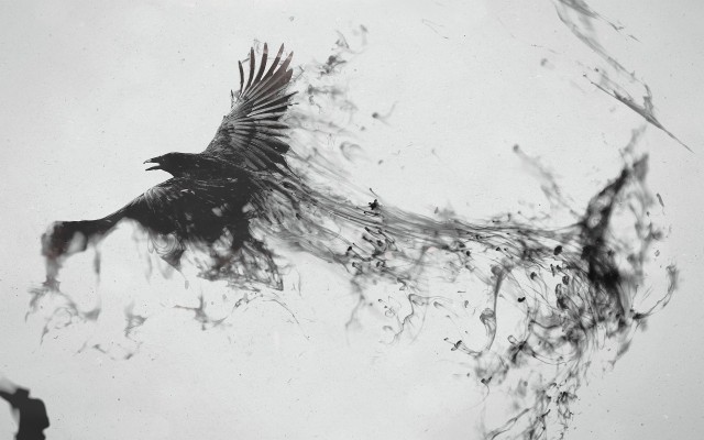 Crow Turning Into Smoke Wallpaper - Black Bird Smoke Png - 1920x1200 ...