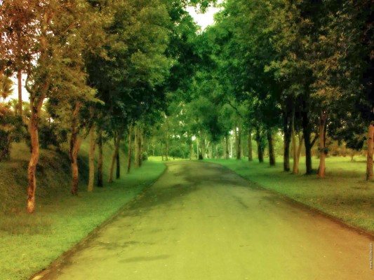 Wallpepar Pak - Right Path Quotes Islam - 1600x1200 Wallpaper - teahub.io