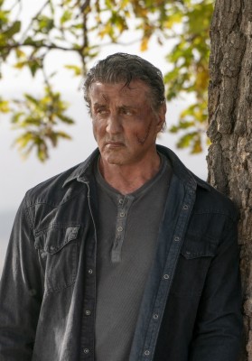 Sylvester Stallone Rambo 5 Last Blood - 1668x2388 Wallpaper - teahub.io