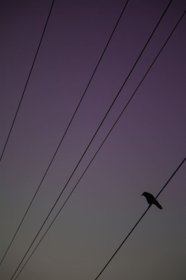Overhead Power Line - 1024x768 Wallpaper - teahub.io
