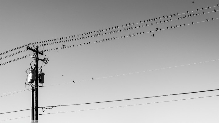 Overhead Power Line - 910x1365 Wallpaper - teahub.io