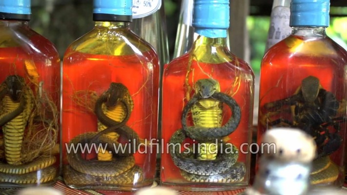 Daru Botal Wallpaper - Hyper Realistic Drawing Bottle - 1920x1080 ...