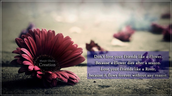 Broken Flower - 1920x1080 Wallpaper - teahub.io
