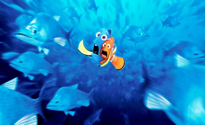 Finding Nemo - Finding Nemo Fish Tank - 1024x768 Wallpaper - teahub.io