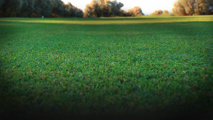 Pest Control - Lawn - 2560x1440 Wallpaper - teahub.io