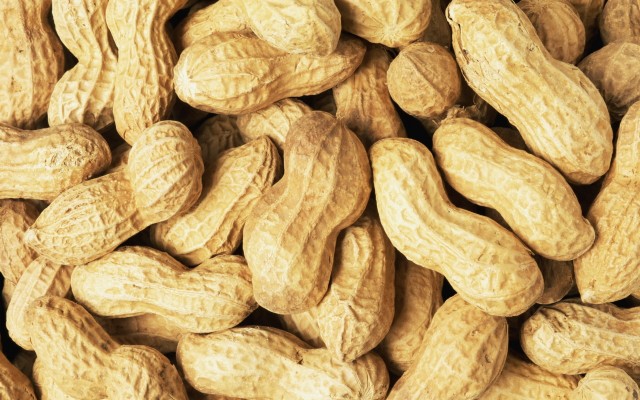 Food - Peanut Wallpaper - Peanut Hd - 1920x1200 Wallpaper - teahub.io