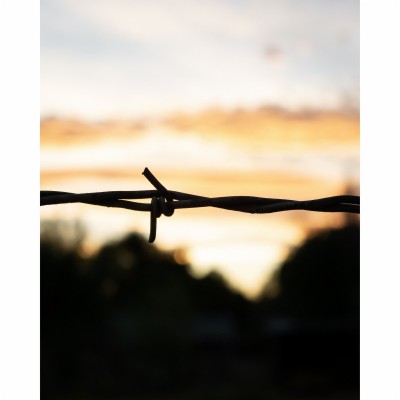Barbed Wire Hd - 5120x3200 Wallpaper - teahub.io